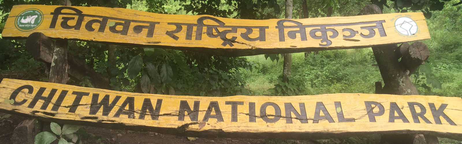 UNCOVER THE WILDERNESS: CHITWAN NATIONAL PARK TOUR | The Trek Nepal